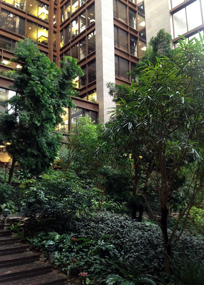 Photo 4 of 7 in Inside the Ford Foundation with Sheila Hicks - Dwell