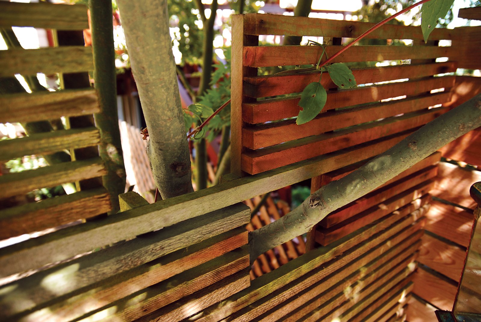 Photo 10 of 15 in These 15 Modern Fences Bring a Whole New Meaning to ...