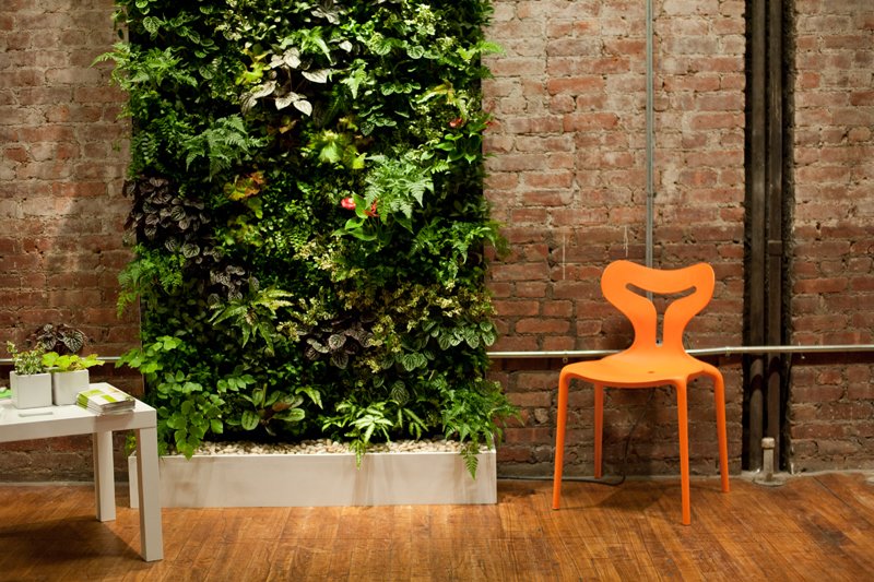 Photo 3 of 10 in Living Green Walls 101: Their Benefits and How They’re ...