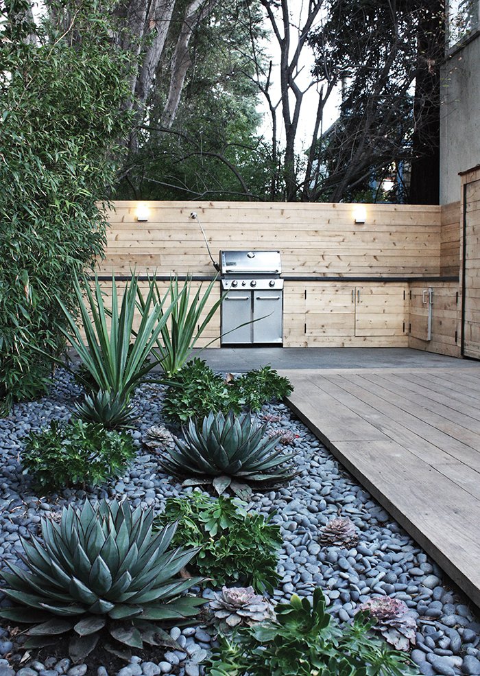 Photo 4 of 4 in How to Make Your Garden Water-Free - Dwell
