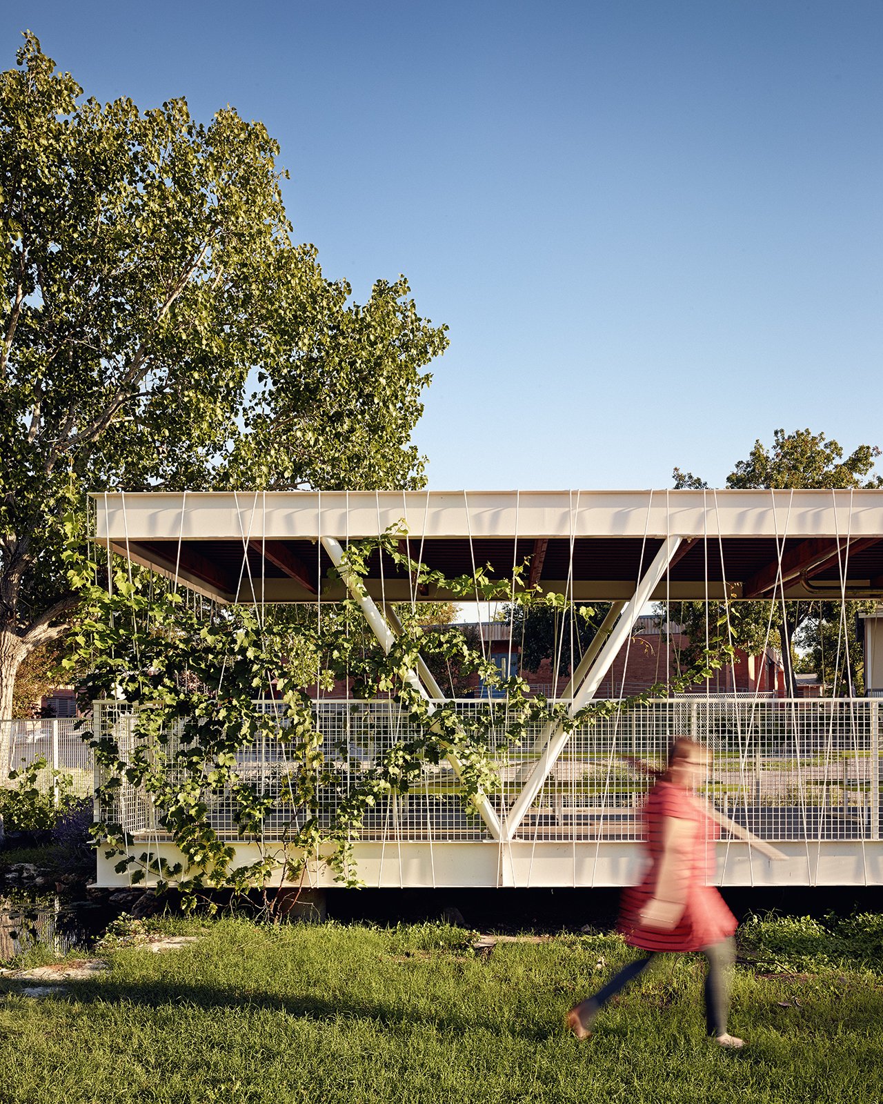 Photo 4 of 5 in Austin’s Casis Elementary School Teaching Garden - Dwell