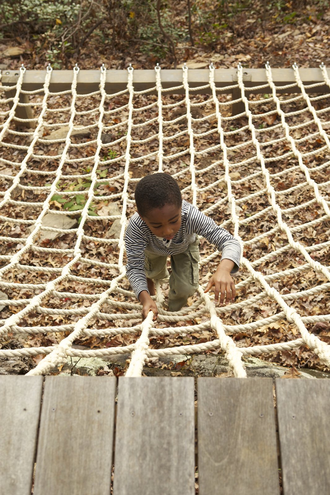 Photos from How This Landscape Design Made a Home as Fun as a ...