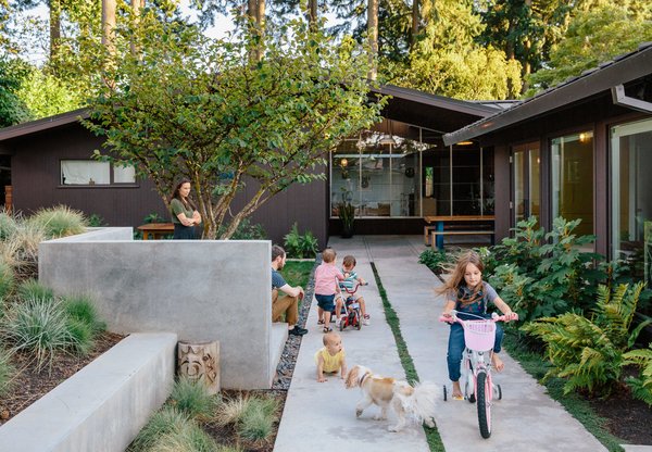 45 Pets in Beautiful Modern Homes - Dwell