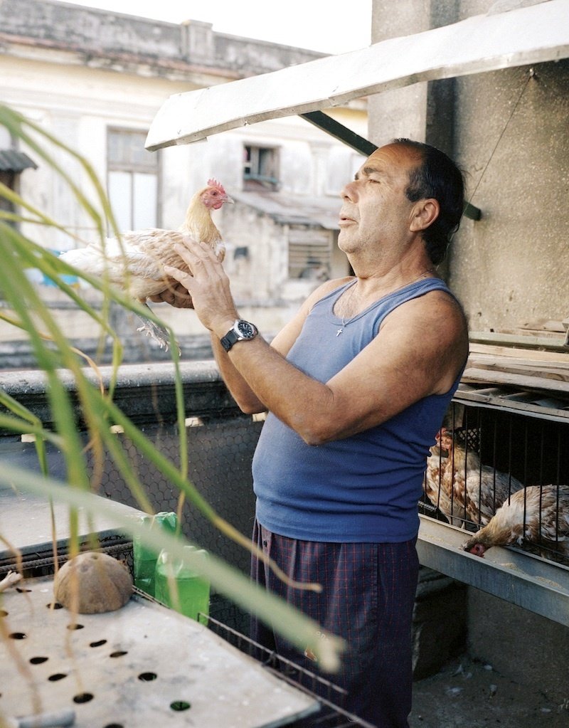 Photo 2 of 8 in Havana: World Capital of Urban Farming? - Dwell