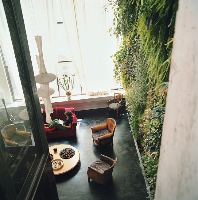 8 Impressive Indoor Gardens ideas - Dwell