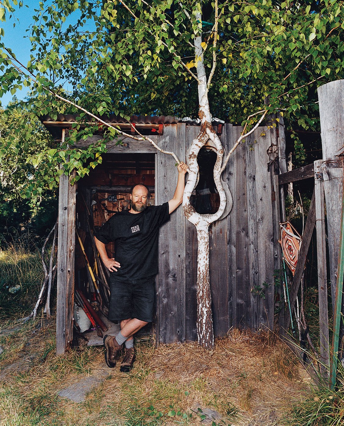 Photo 2 of 6 in Branching Out - Dwell