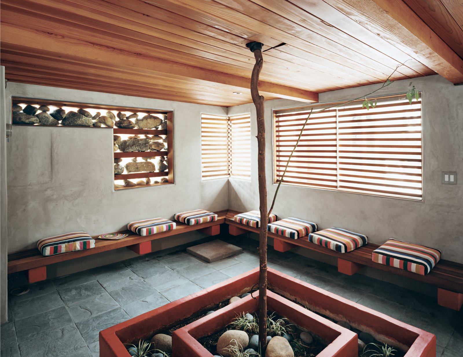 Photo 10 of 23 in 23 Unconventional Homes Built Around Trees from Casa ...