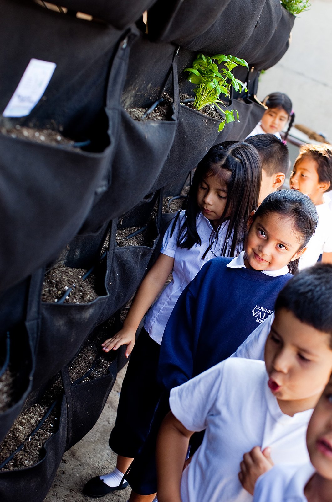 Photo 6 of 10 in Miguel Nelson of Woolly Pocket - Dwell