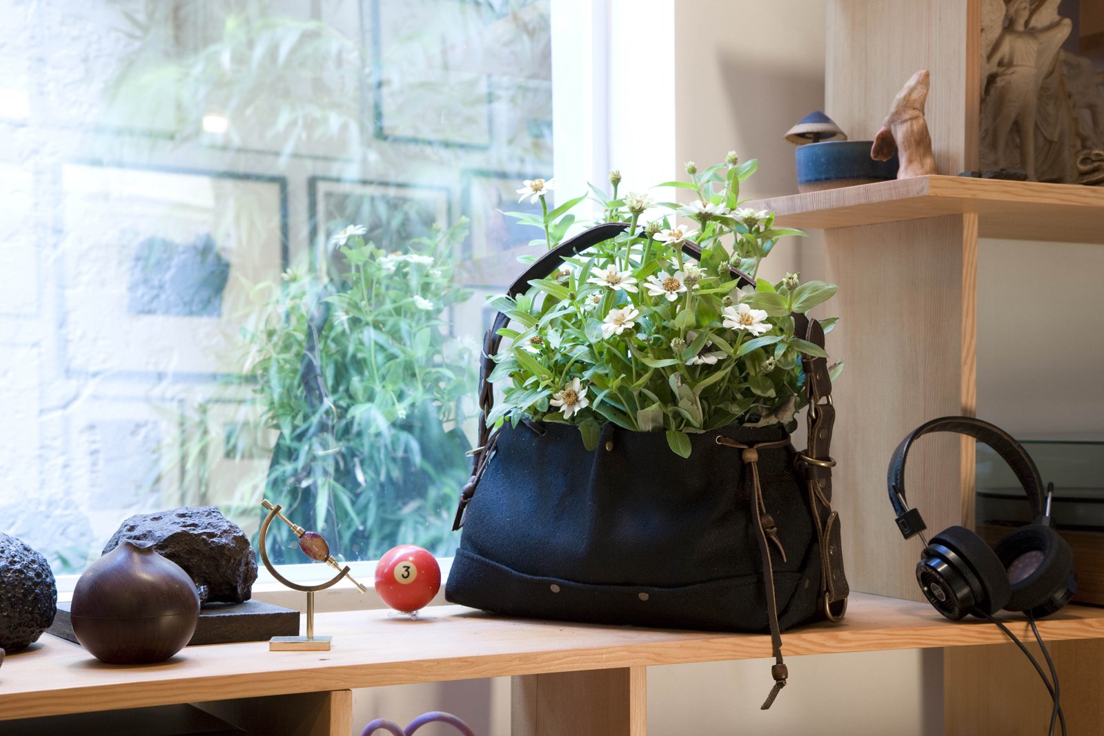 Photo 10 of 10 in Miguel Nelson of Woolly Pocket - Dwell