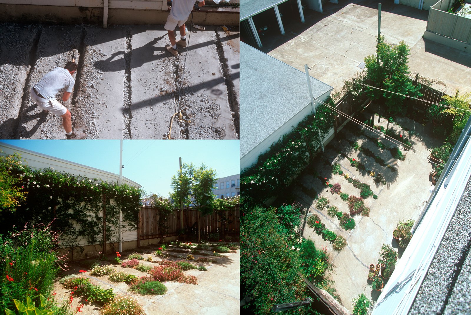 Photo 8 of 22 in Young Guns: Best New Practices 2009 - Dwell