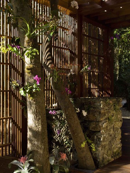 Miami: Simpson Park Hammock - Dwell