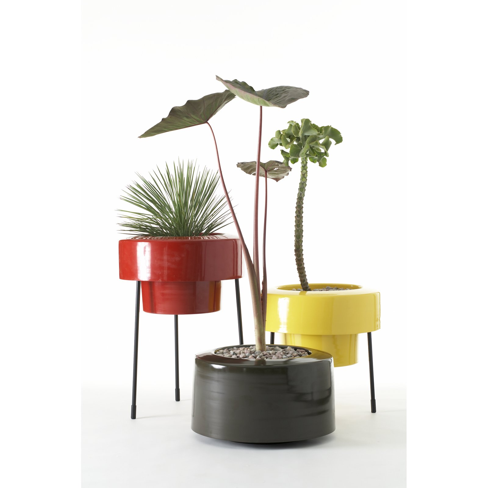 Photo 7 of 12 in Gardening Products: Modern Portable Planter Pots - Dwell