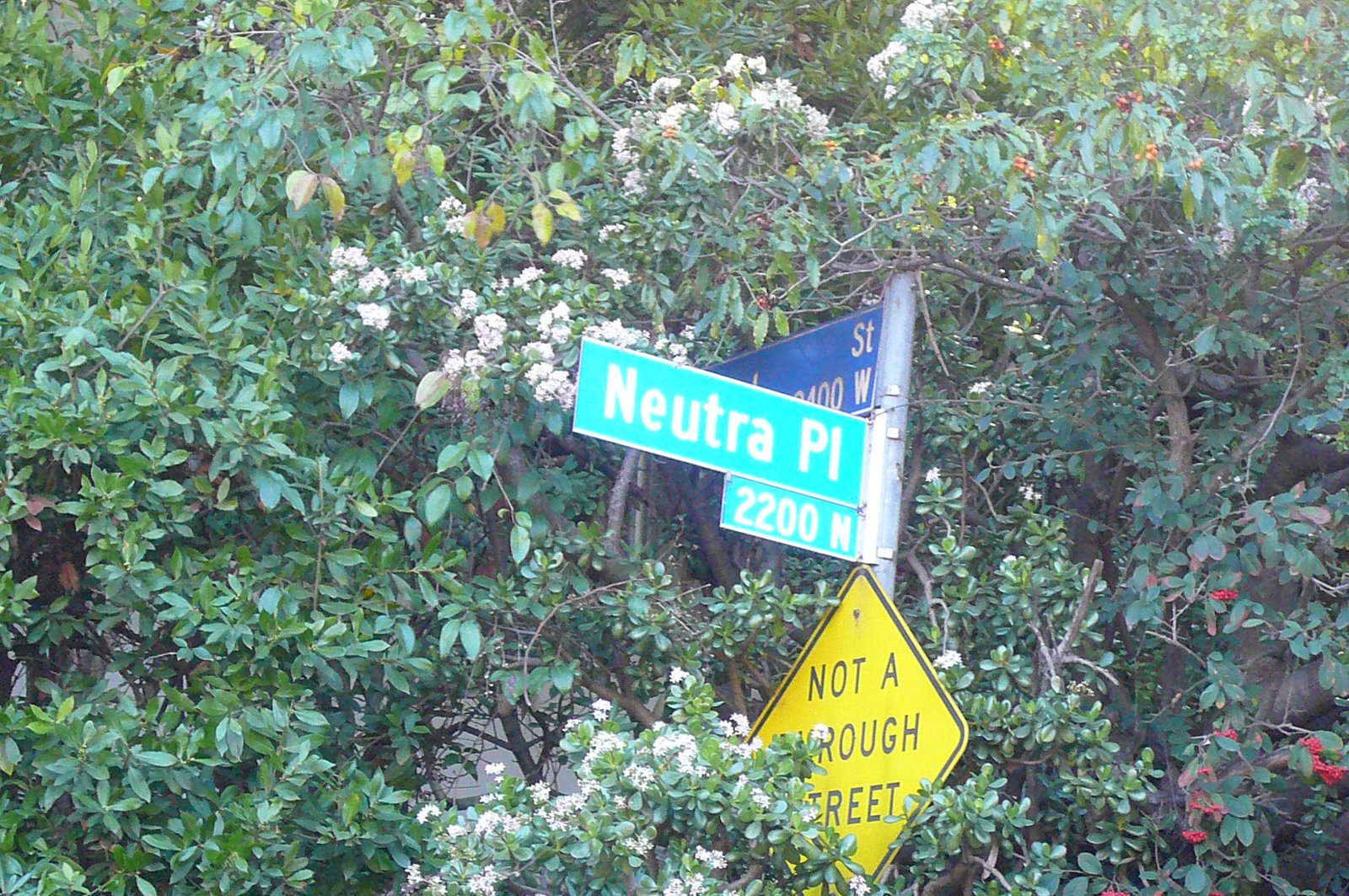 Photo 11 of 19 in An Architect's Guide to Silver Lake by Jaime Gillin ...