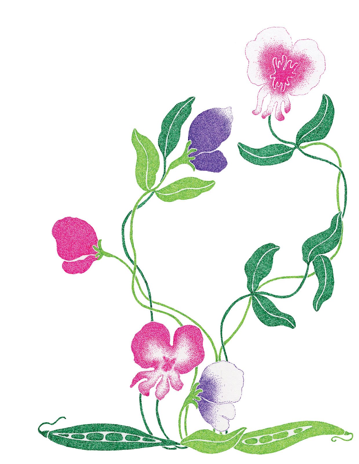Articles about the+author+of+the+post+got+a+seedling+of+this+species ...