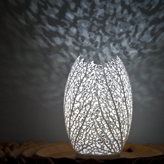 Coral Motifs - Dwell