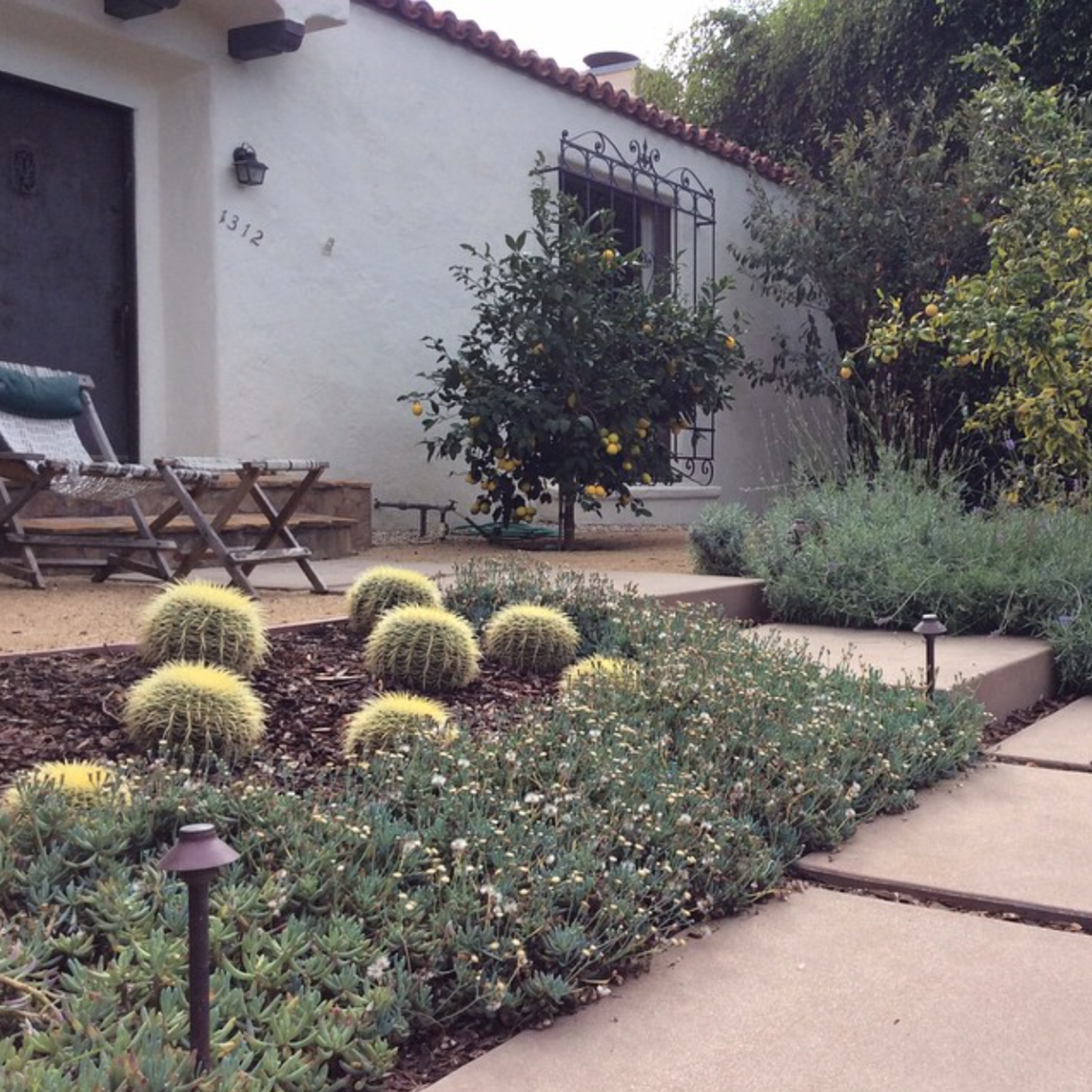 Photo of the Week: Drought-Tolerant Garden - Dwell