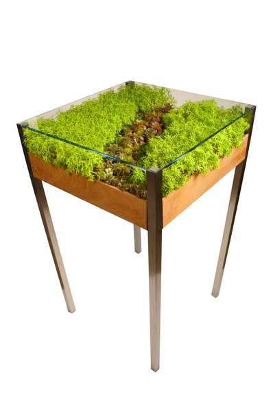 Product Spotlight: Living Tables - Dwell