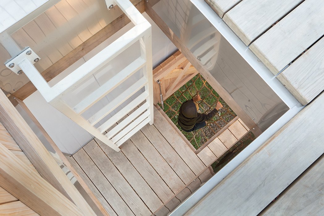 Articles about Terminix+Rodent+Traps on Dwell.com - Dwell