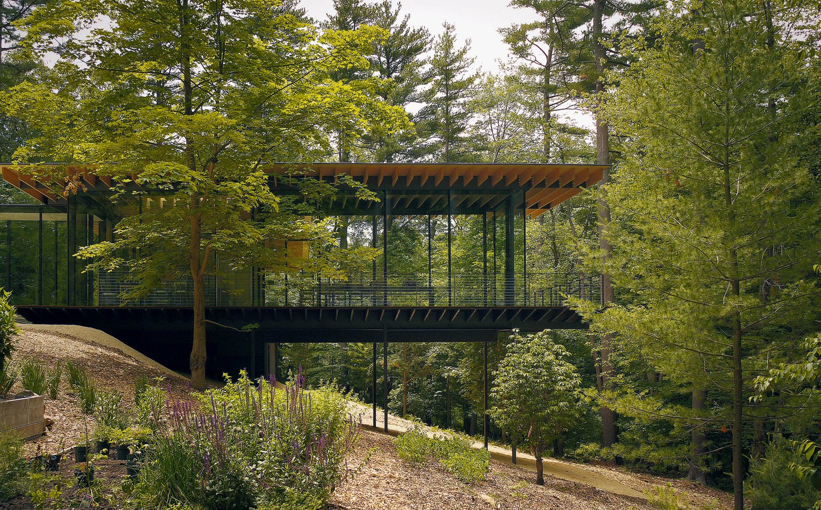 Photo 5 of 8 in 100 Contemporary Green Buildings - Dwell