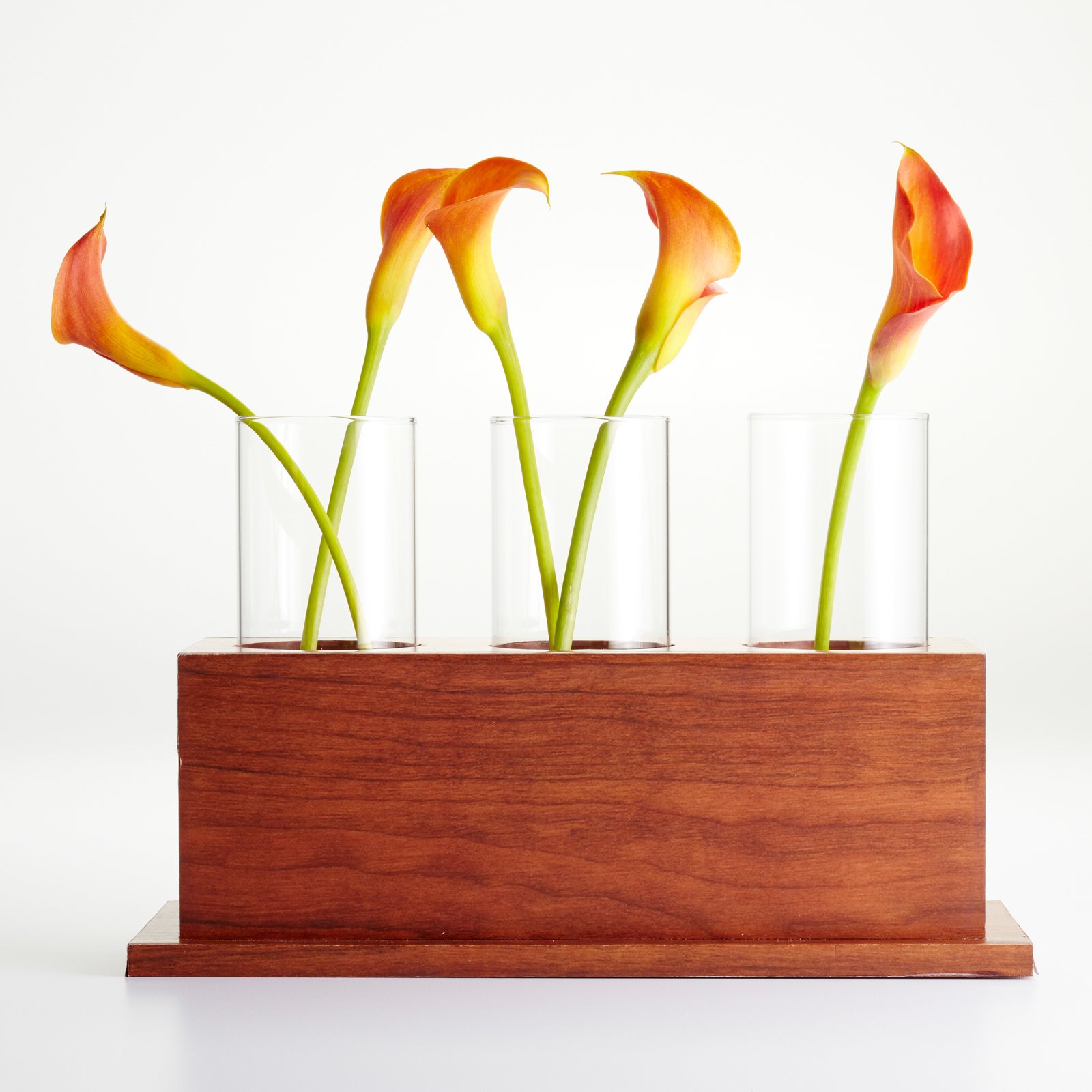 Photo 1 of 14 in New Home Collection at JcPenney by Kristen W. Terry ...