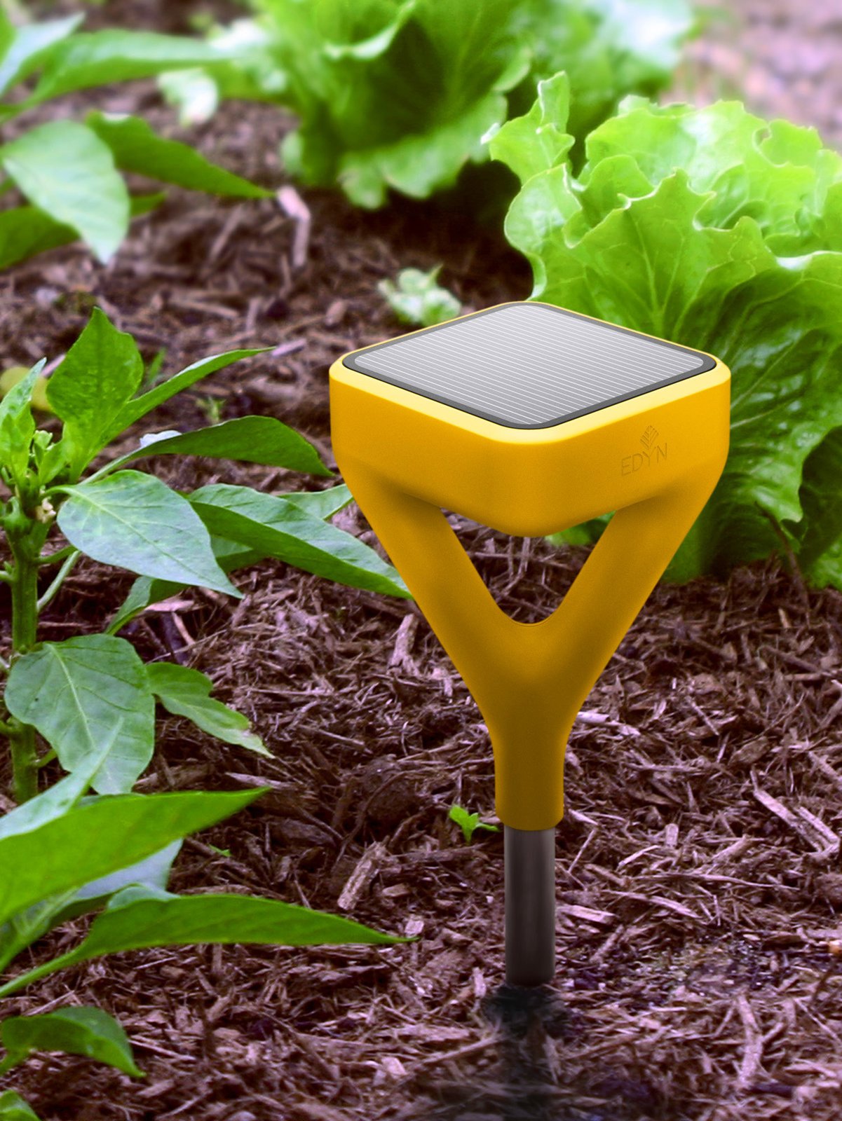 A Smart Tech Tool That Will Help Novice Gardeners Kill Fewer Plants - Dwell