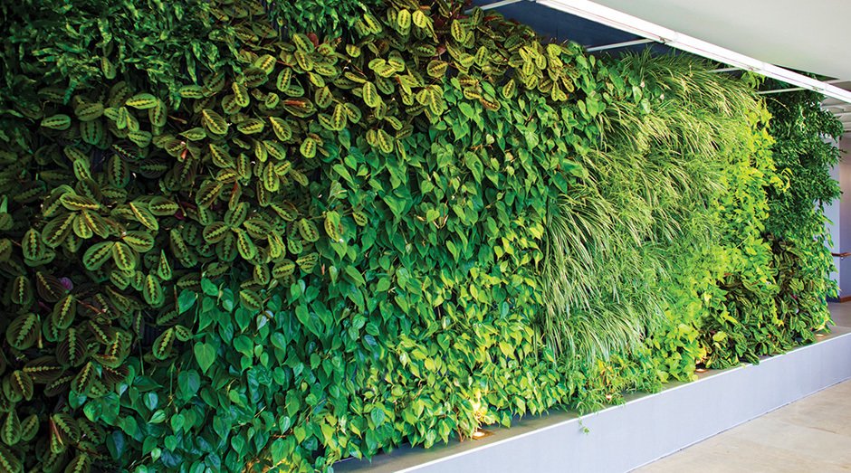 Photo 3 of 4 in How to Make a Totally Green Wall by Erika Heet - Dwell