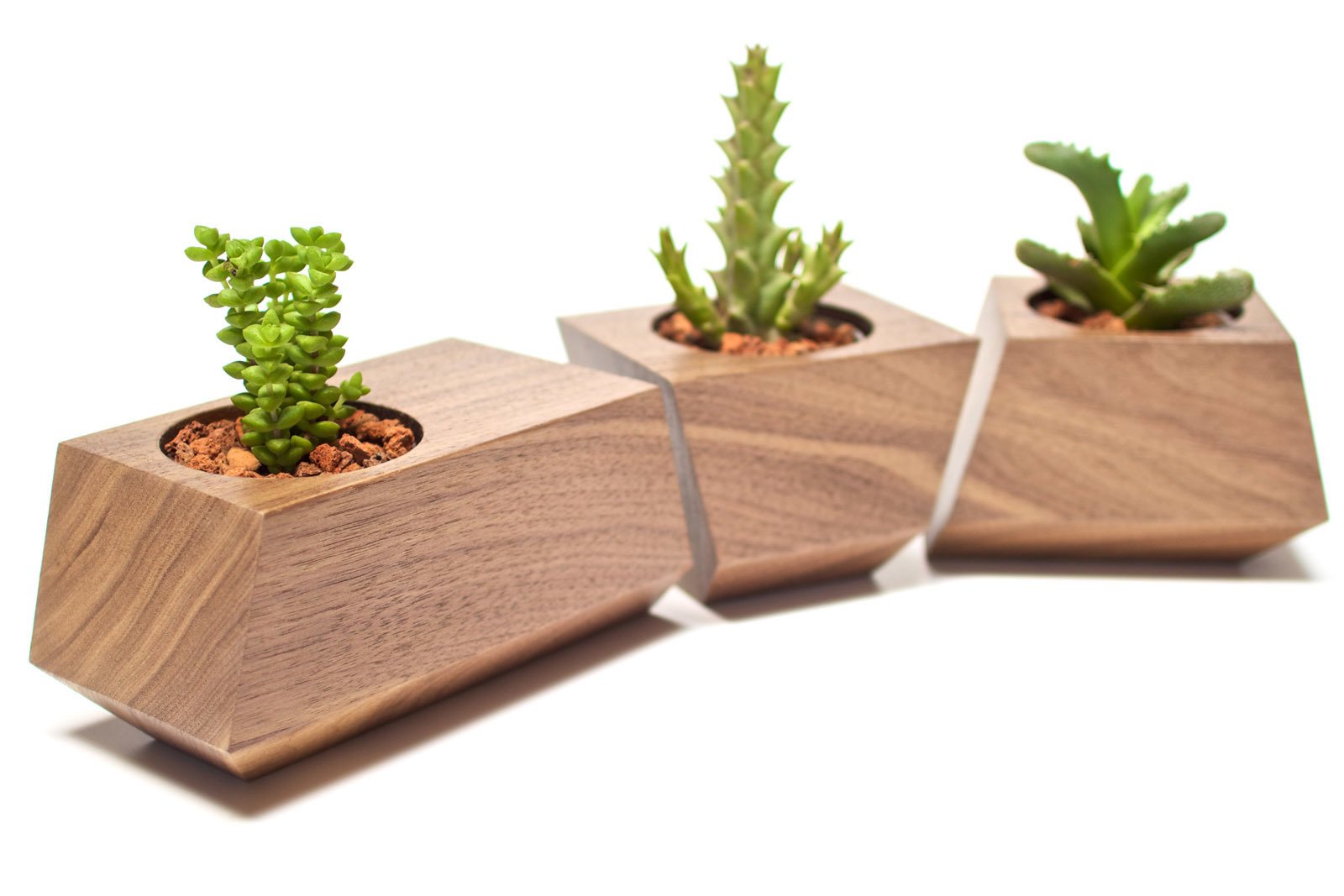 Photo 4 of 4 in Walnut Planters by Revolution Design House by Diana ...