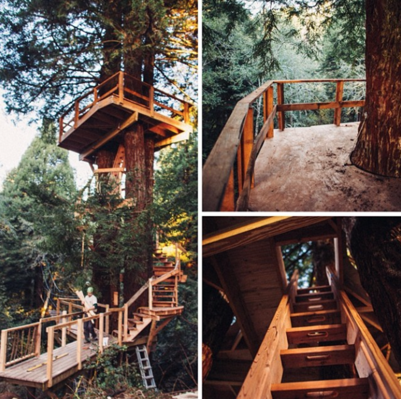 Photo 9 of 9 in Inspiring Tree Houses of Instagram by Allie Weiss - Dwell