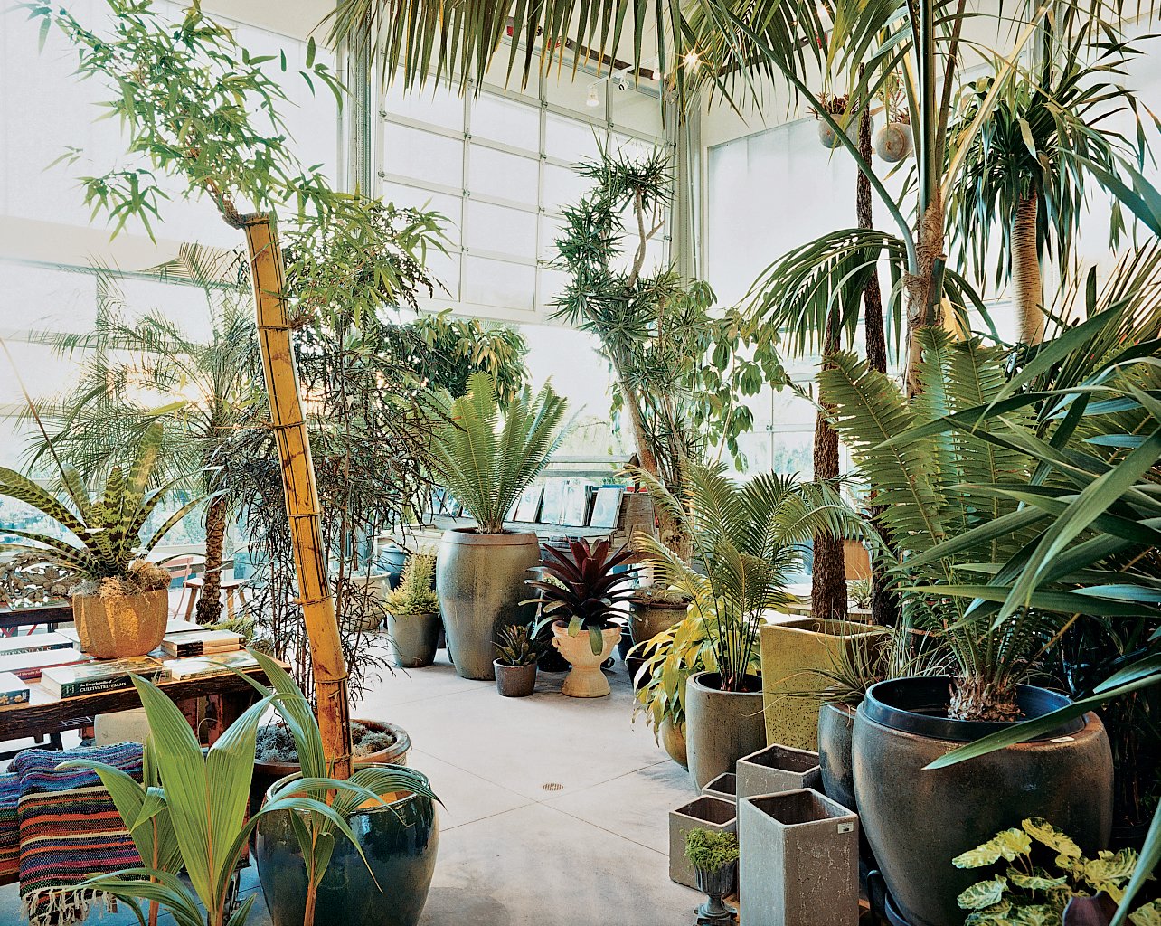 Photo 6 of 17 in Garden Sheds by Dwell - Dwell