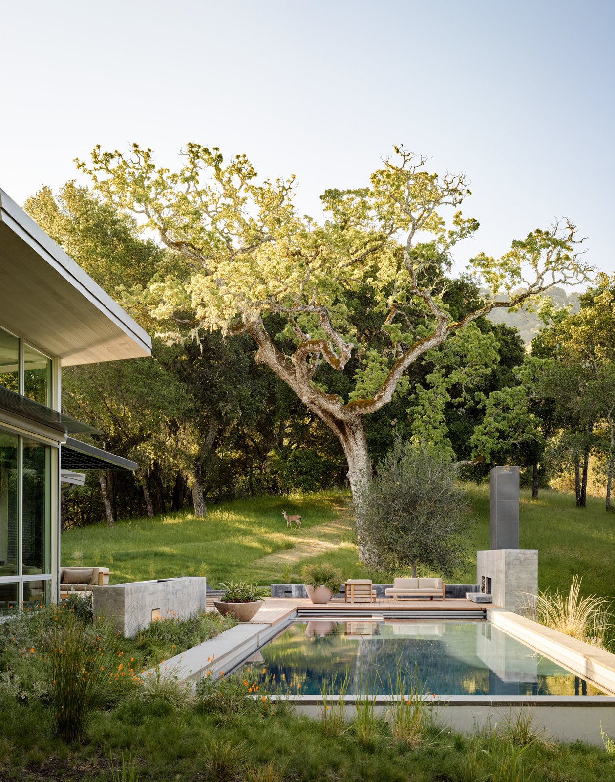 Photo 15 of 16 in 16 Boxy Modern Pools For This Summer from A Meadow ...