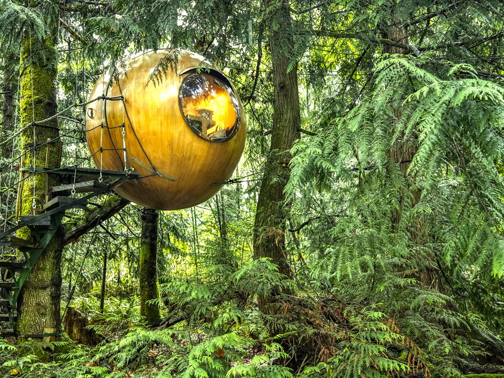 Photo 5 of 10 in 10 Surreal Tree Houses That Will Make Your Childhood ...