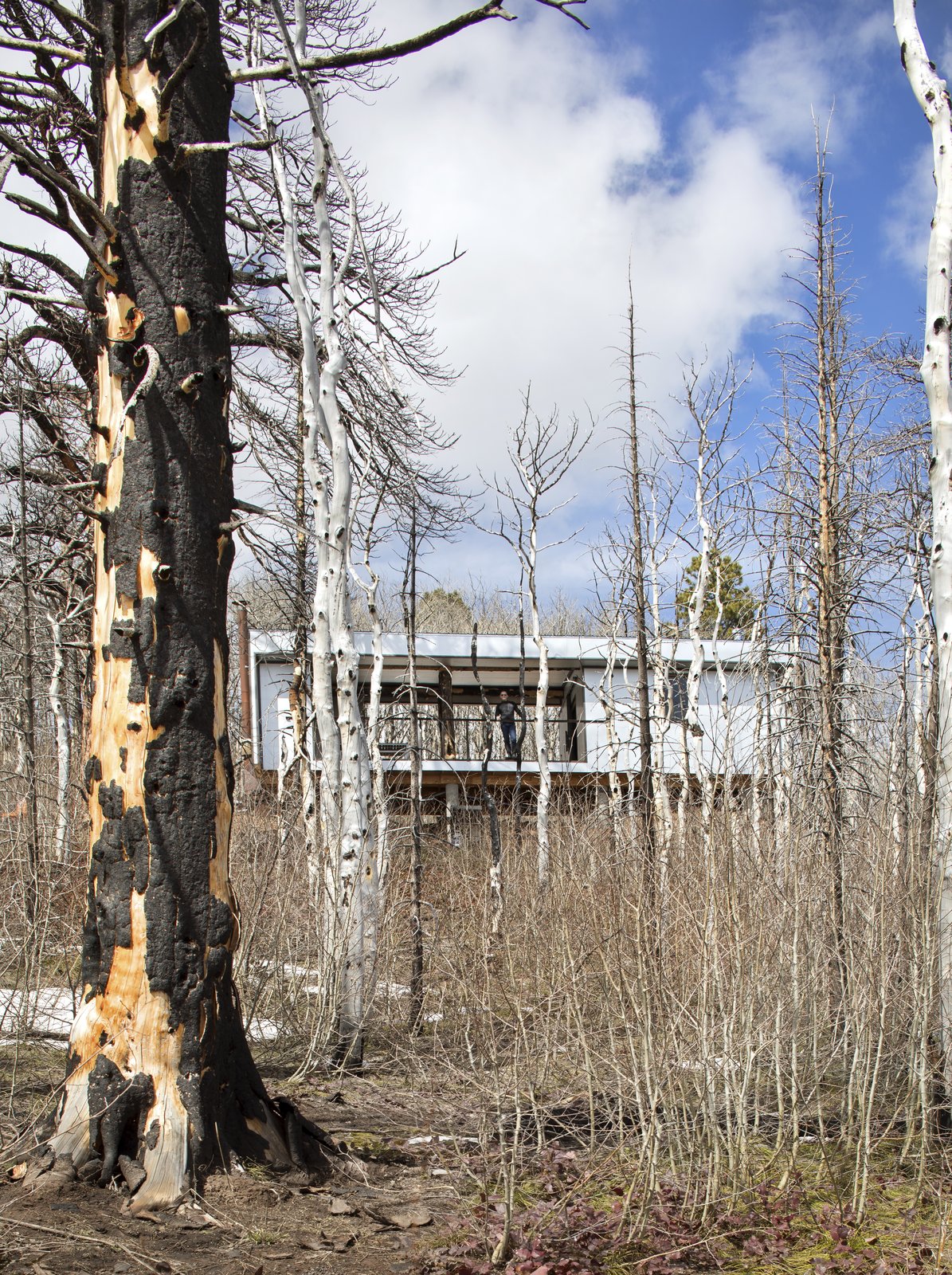 Photo 8 of 12 in An Architect’s Cabin Rises From the Ashes After a ...