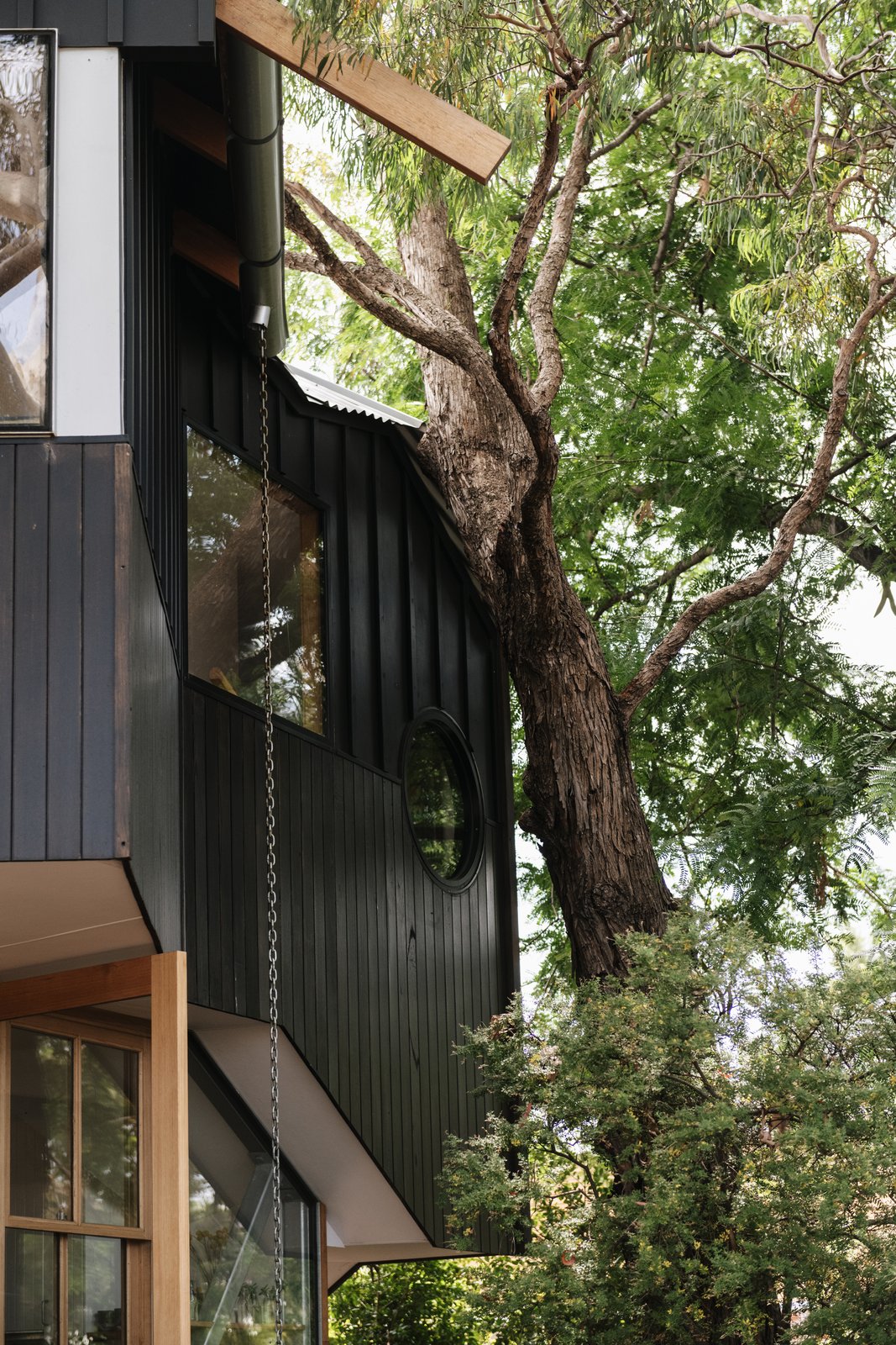 Photo 3 of 18 in This Light-Filled Bungalow Exudes Playful Tree House ...