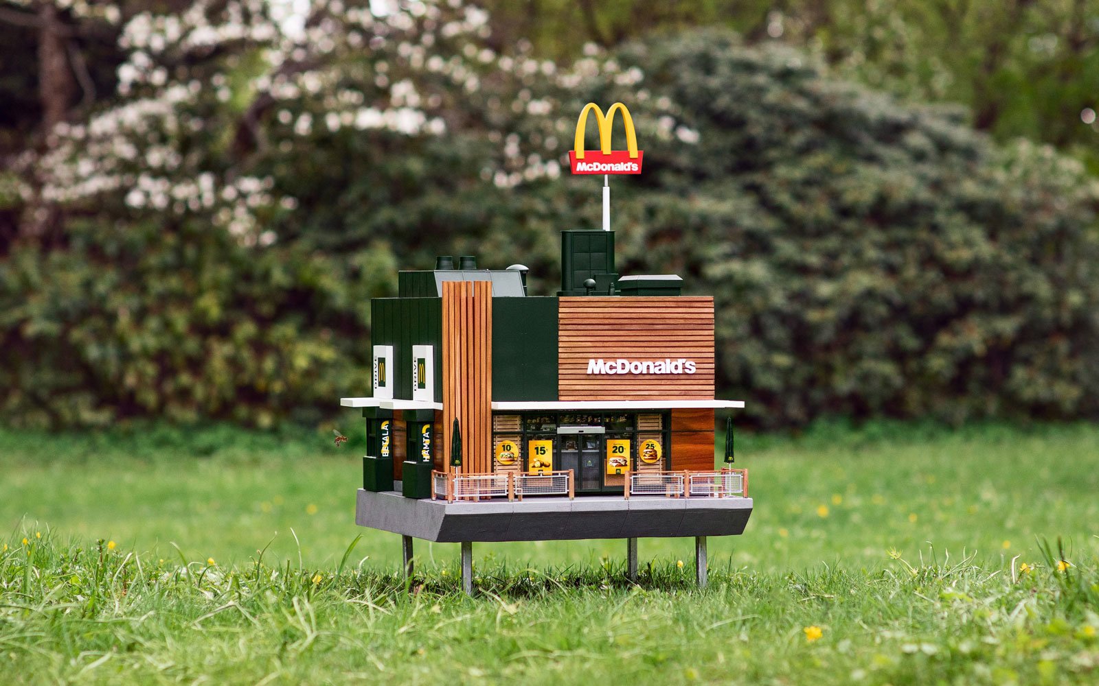 Articles about bees+vs+wasps on Dwell.com - Dwell