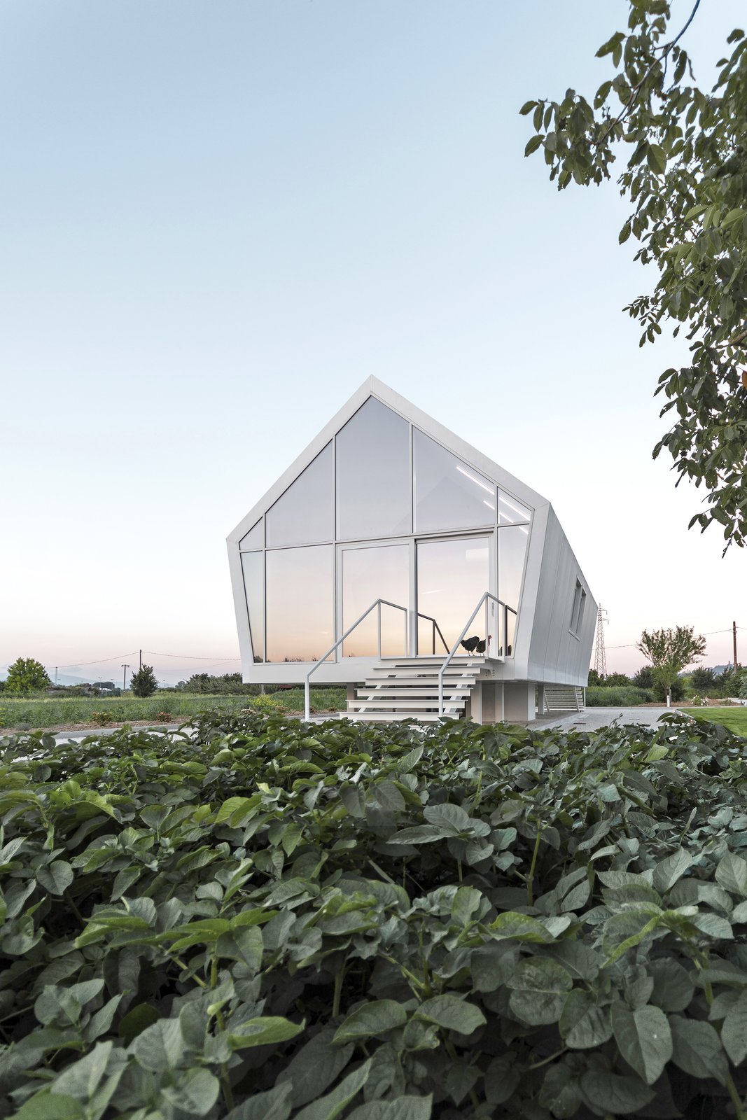 Photo 4 of 16 in This Utopian “House in the Orchard” Is Part Home and ...