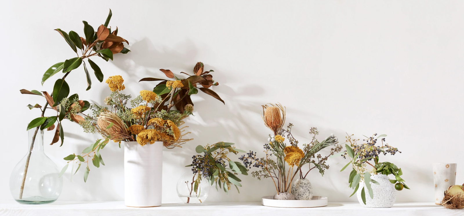 Articles about zland+scap on Dwell.com - Dwell