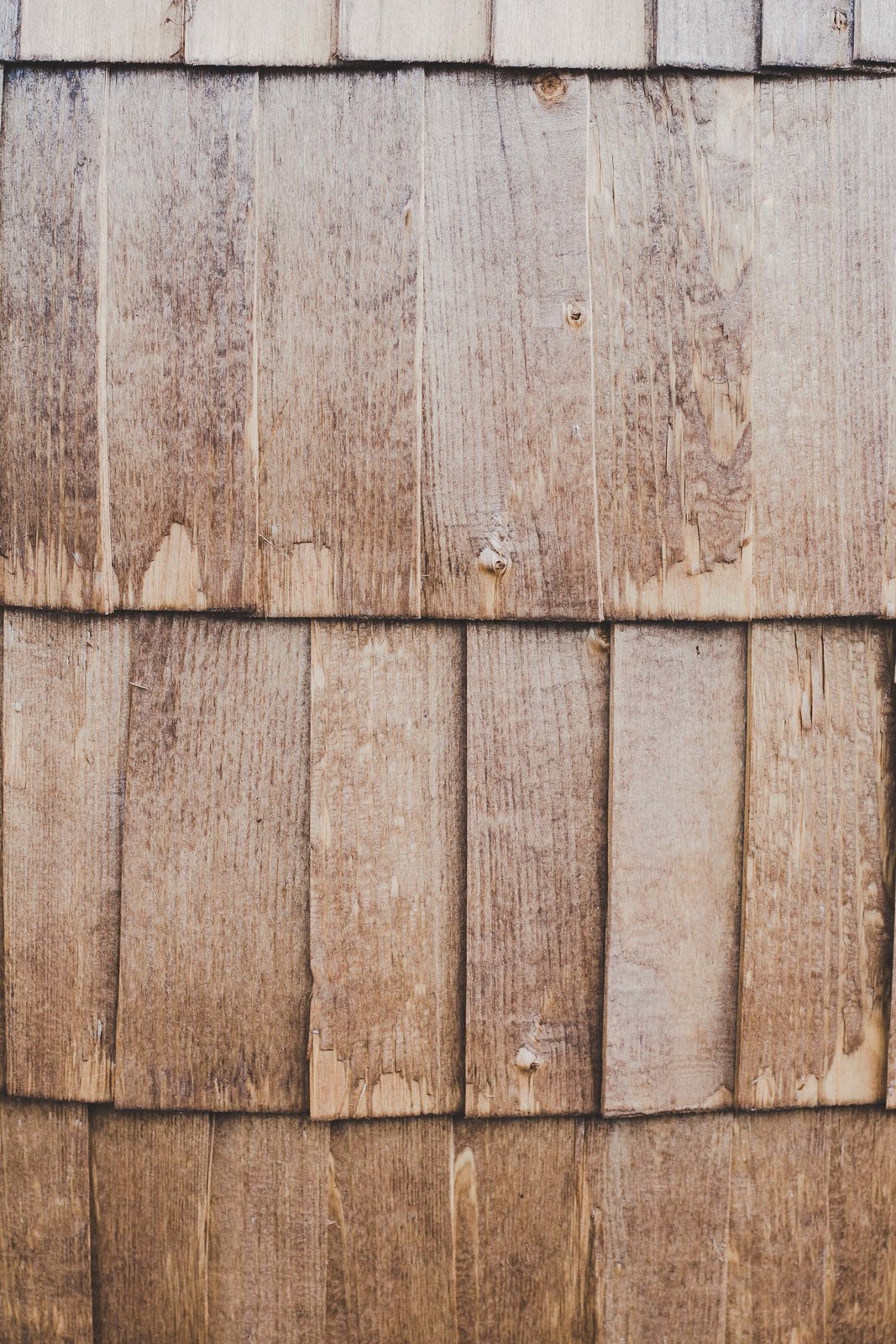 Photo 6 of 17 in These Spellbinding, Handcrafted Saunas and Cabins ...