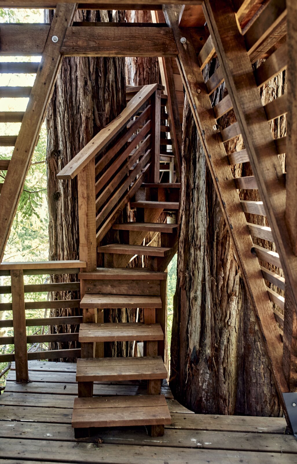 Photo 9 of 13 in A Family of Five Adds a Whimsical Tree House to Their ...