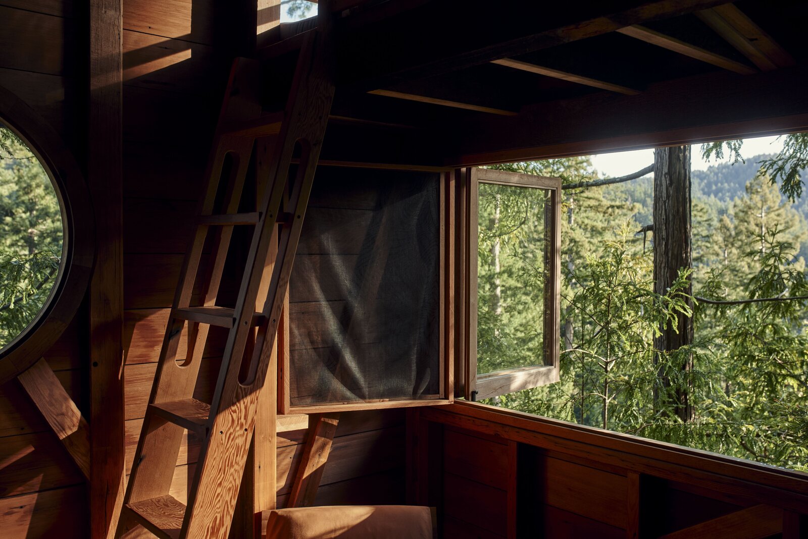 Photo 10 of 13 in A Family of Five Adds a Whimsical Tree House to Their ...