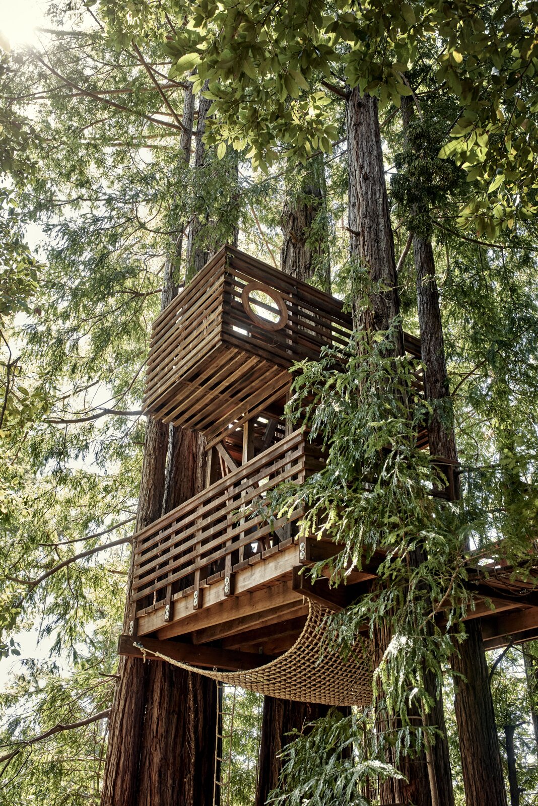 Photo 7 of 13 in A Family of Five Adds a Whimsical Tree House to Their ...