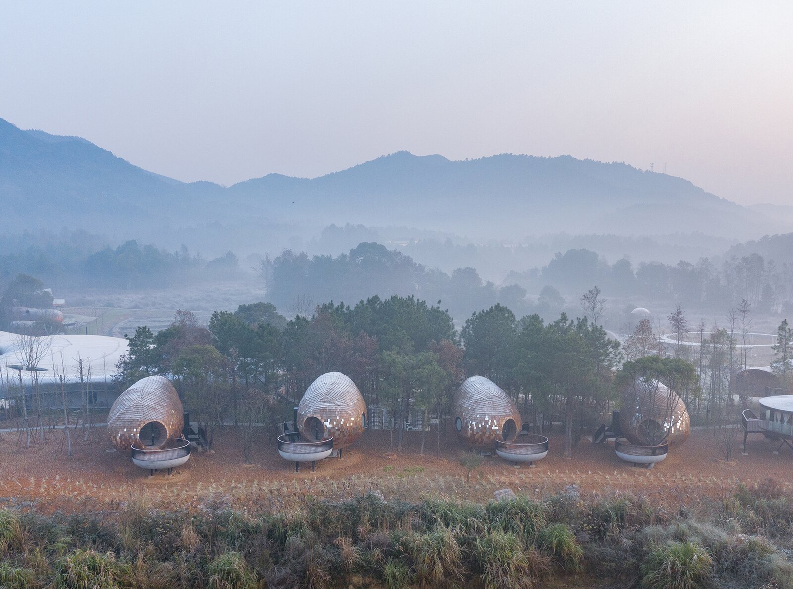 Photo 1 of 13 in These Eclectic Pods Nestled in a Chinese Pine Forest ...