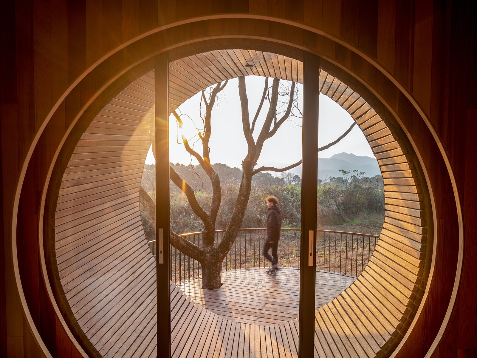 Photo 6 of 13 in These Eclectic Pods Nestled in a Chinese Pine Forest ...