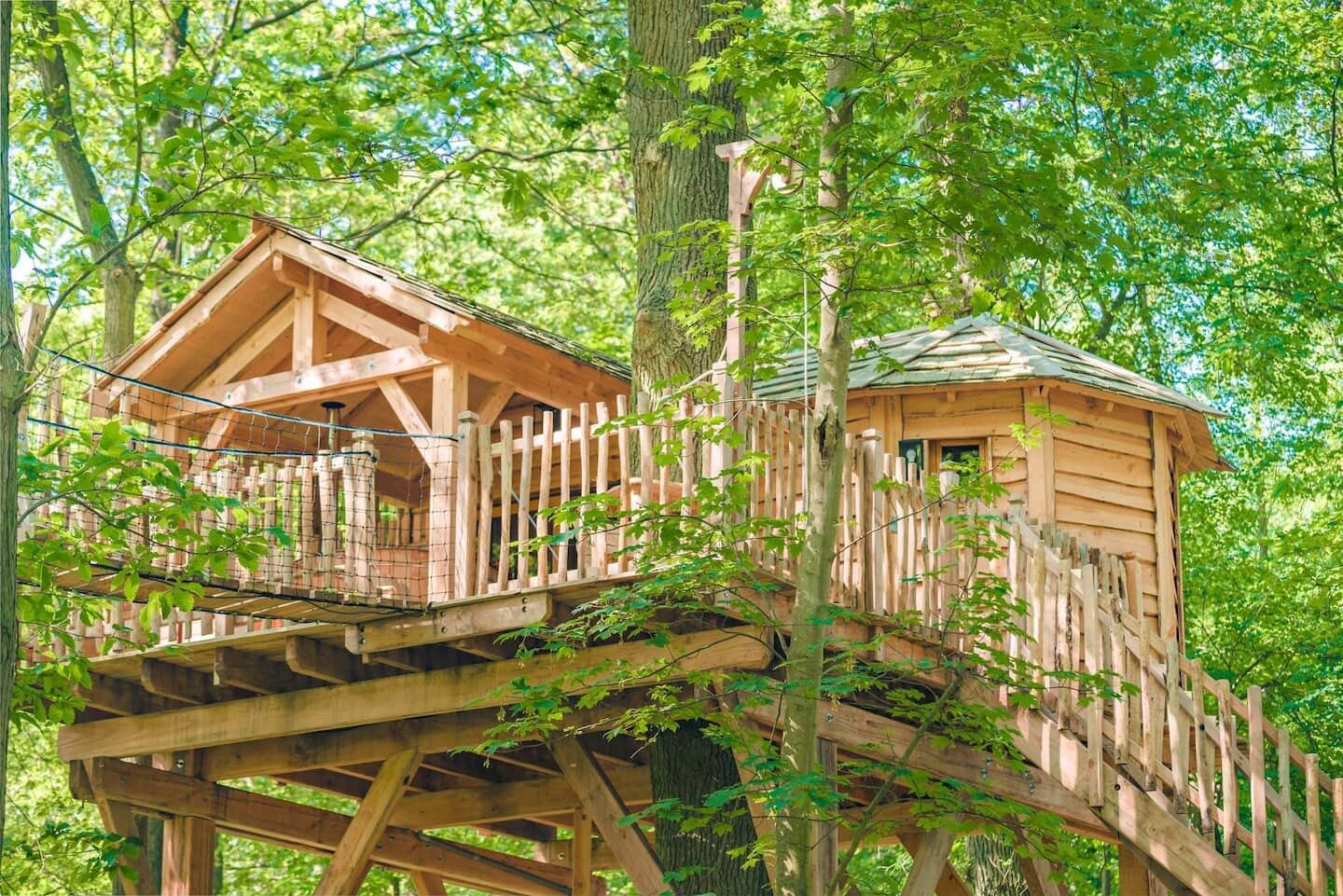 Photo 9 of 9 in 9 Breathtaking Tree Houses You Can Rent on Airbnb This ...