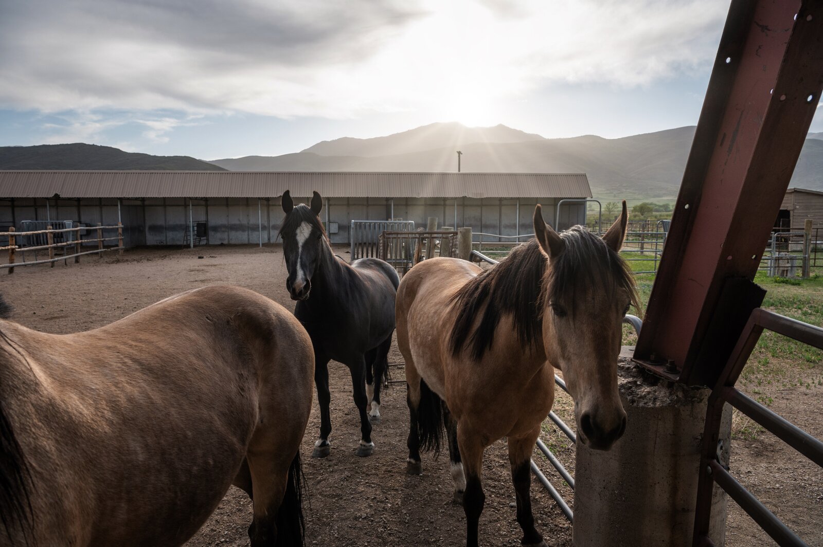 Photo 4 of 13 in Robert Redford Lists His Horse Whisper Ranch in Utah ...