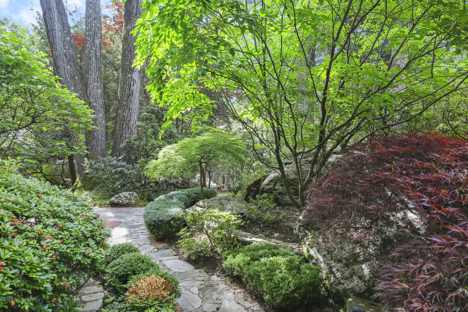 Photo 12 of 13 in A Midcentury-Modern Forest Oasis by Paul Rudolph ...