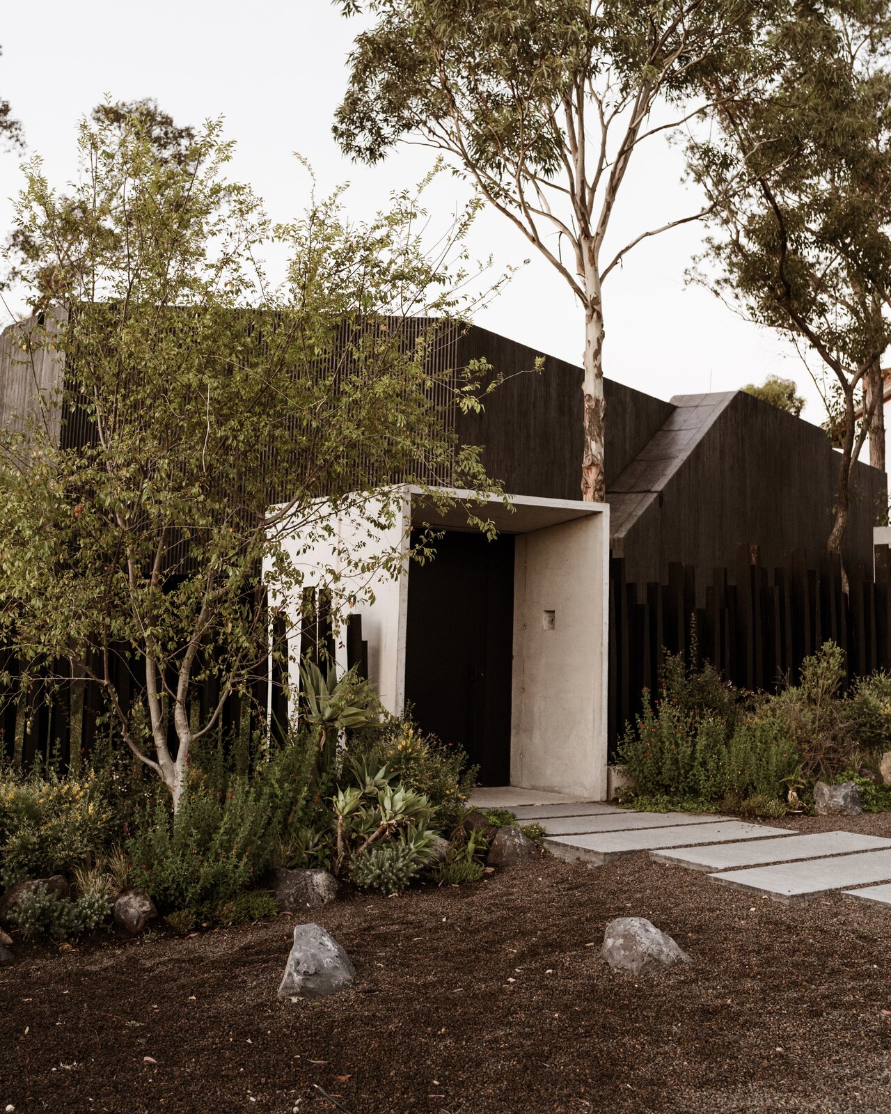 Photo 2 of 17 in A Dark Serpentine Structure Works as a Surprisingly ...