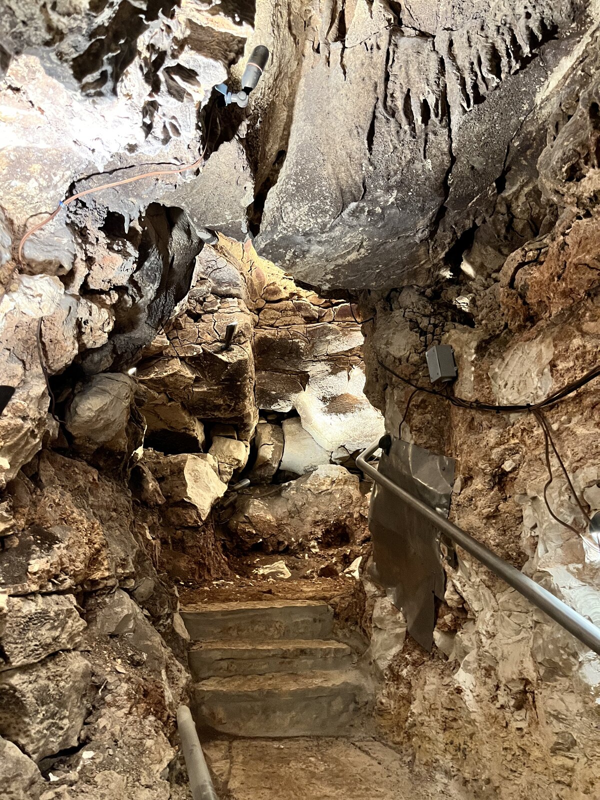 Photo 4 of 6 in Inside the Unassuming Texas Home That Just Happens to ...