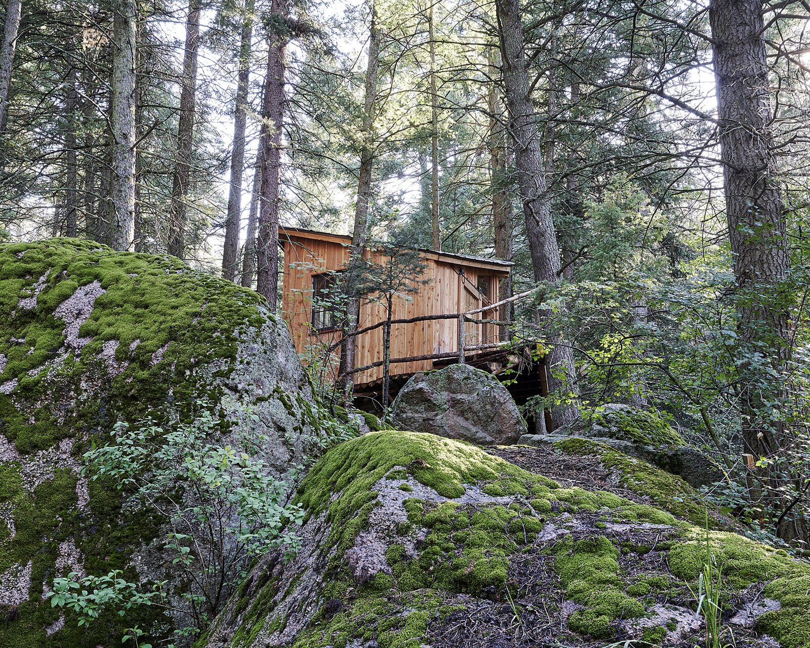 Photo 1 of 13 in A Family Builds a Fairy-Tale Tree House in the Woods of Colorado - Dwell