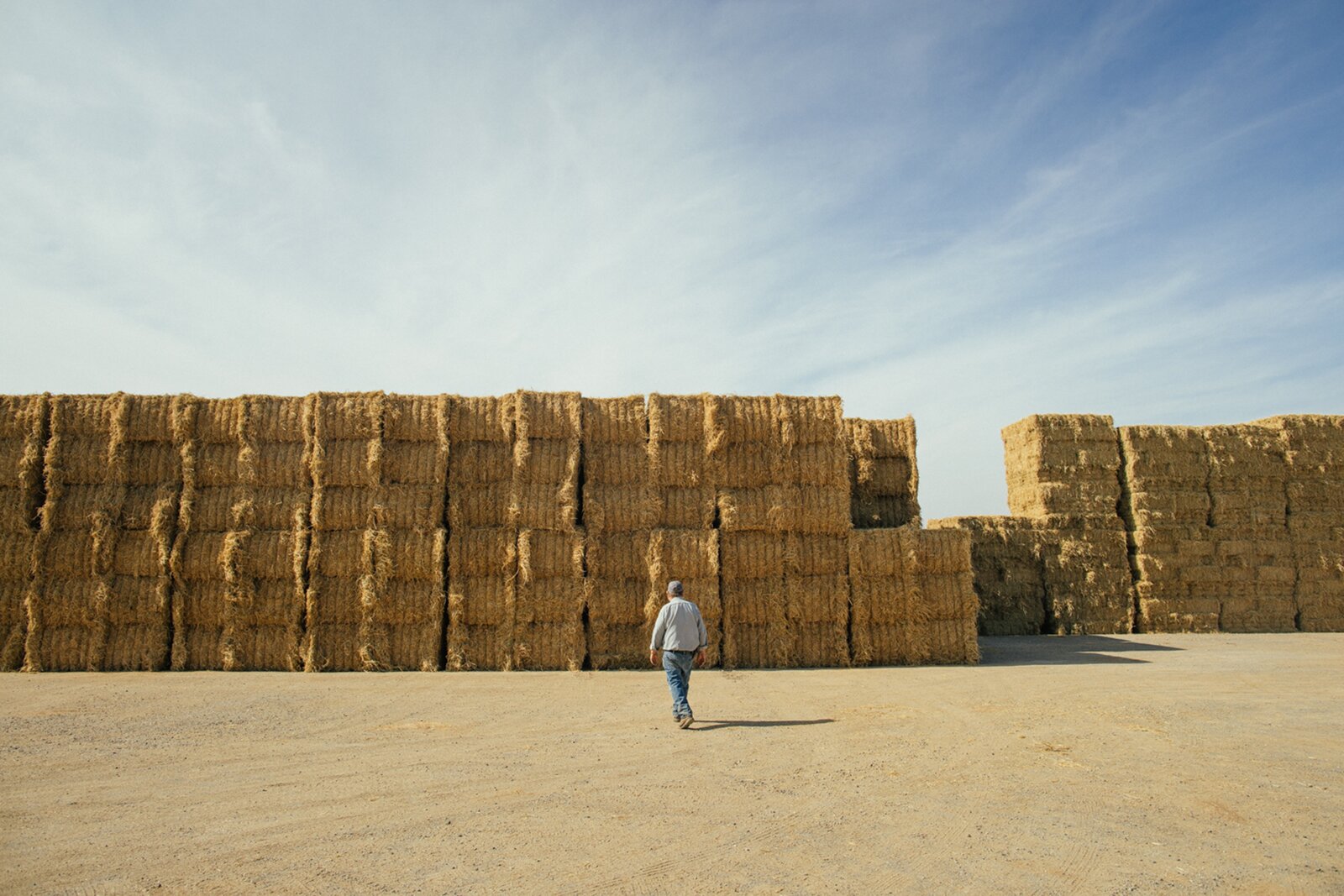 Photo 5 of 8 in The Founder of Patagonia Just Built a Straw Bale House ...