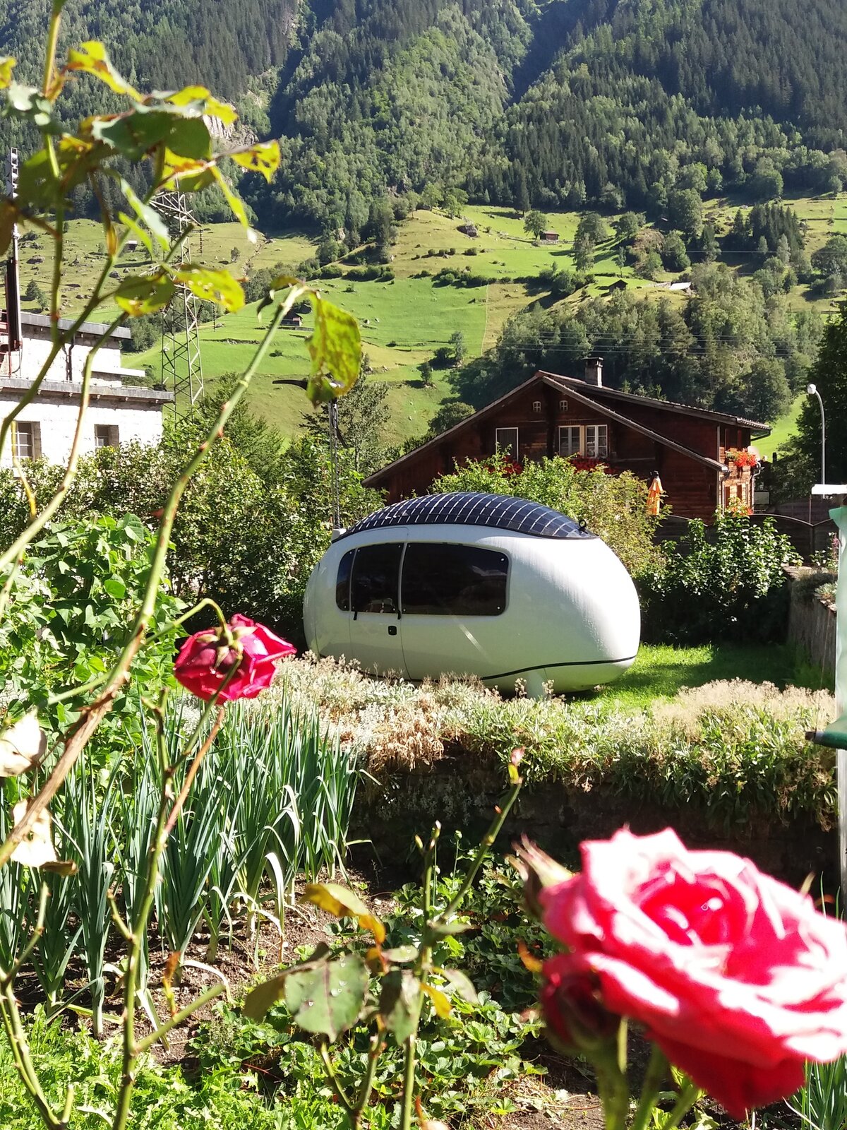 Photo 3 of 10 in This Space-Age Pod Wants to Be Your New ADU, Office ...